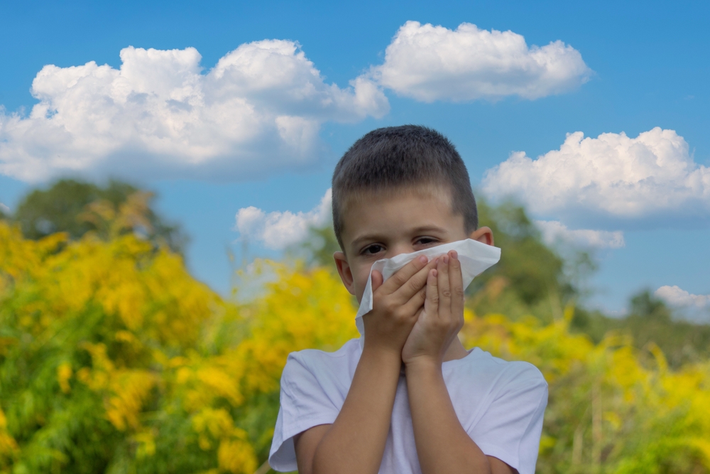 Kako brzo i efikasno sprečiti simptome alergije? - Blog | Lilly ...
